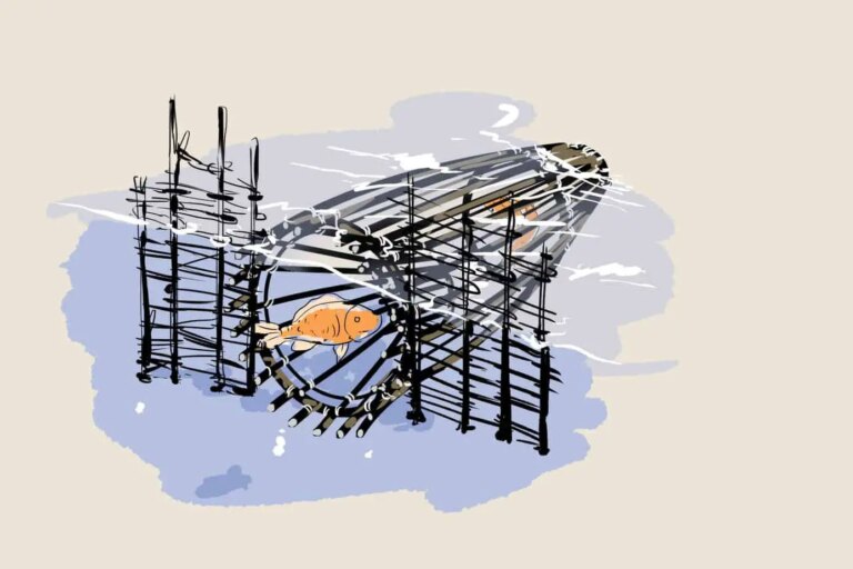 Survival Trapping – 6 traps you need to know – Option Gray